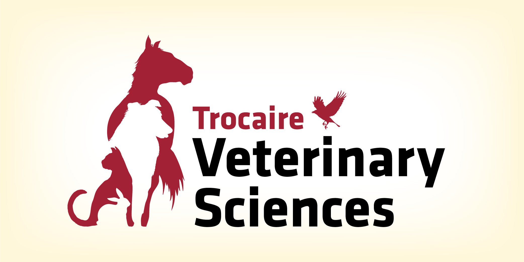 Trocaire College Logo