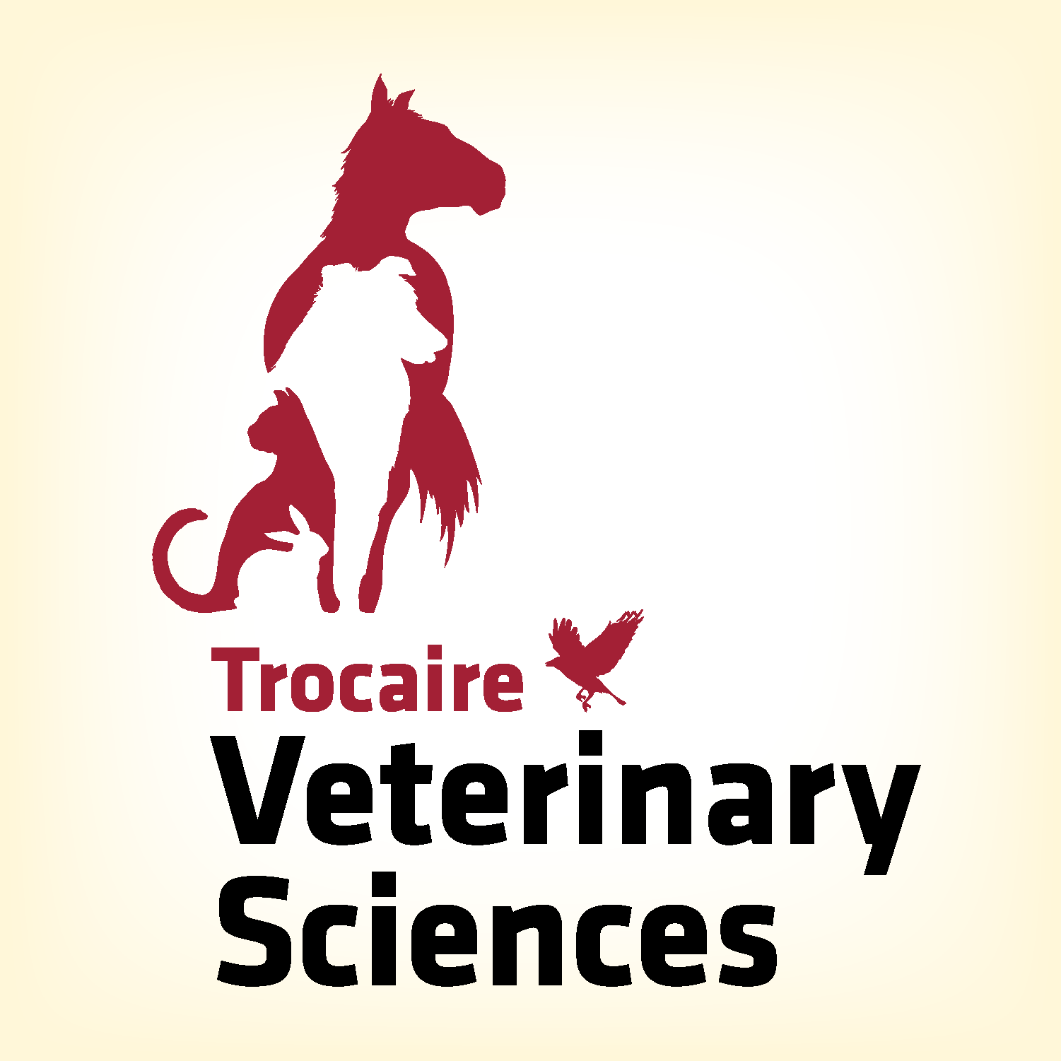 New York State Approves Trocaire College’s Veterinary Technology Program